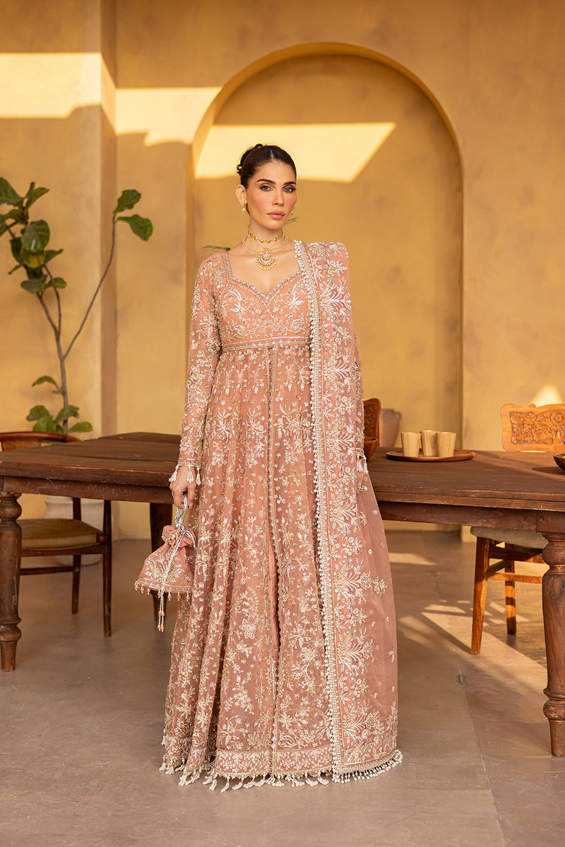 Mistral - Emaan Adeel - Stitched – Sadaf’s Collection