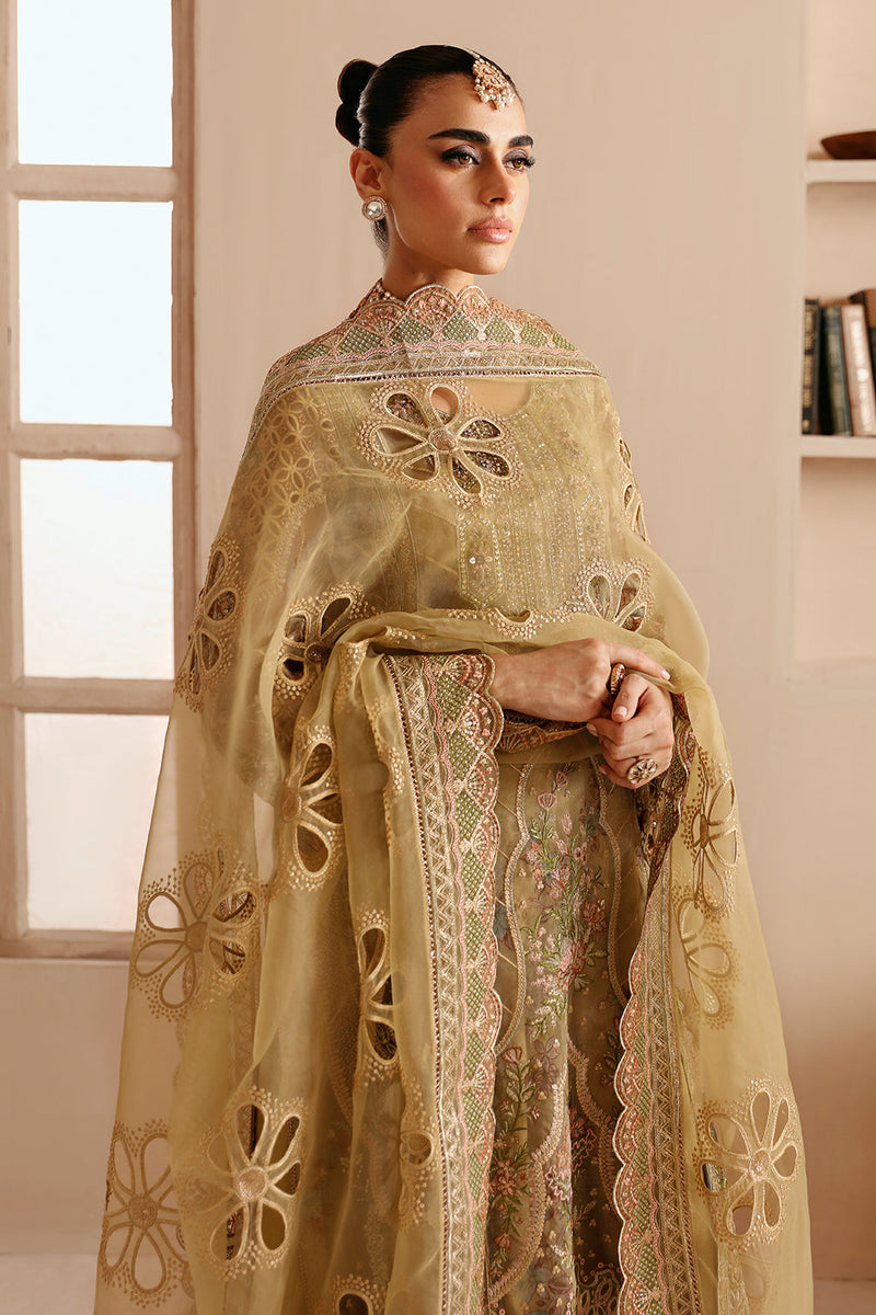 E-205 - Ramsha Festive - Stitched – Sadaf’s Collection